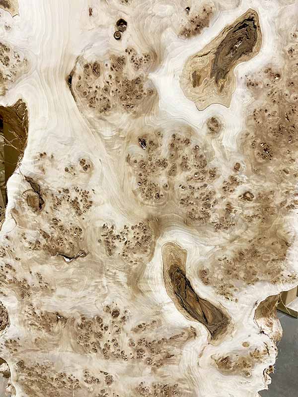 * Mappa Burl