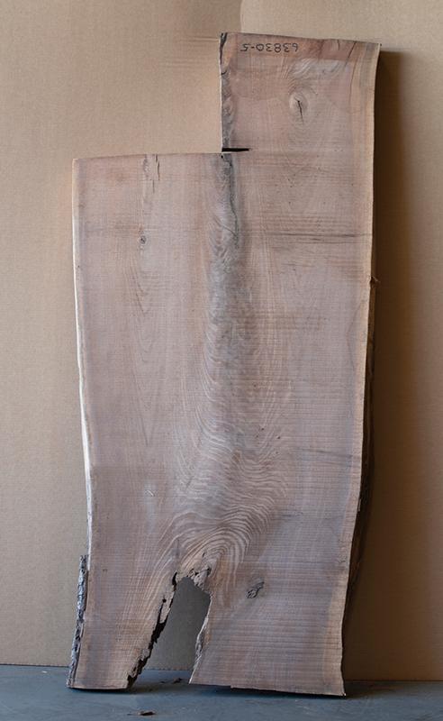 Live-Edge Wood Slab Gallery - Shop Available Wood Slabs at Sears ...